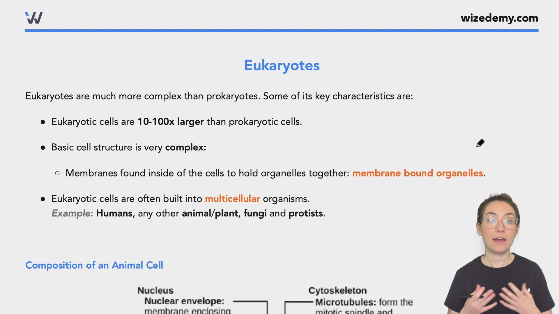 Eukaryotic Cells [short] - Wize University Biology Textbook | Wizeprep