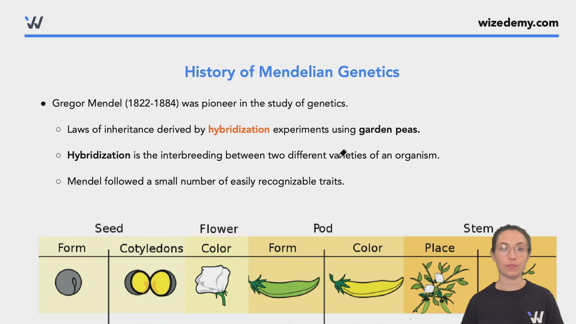 History Of Genetics And Laws Of Probability Wize University Biology History Of Genetics And Laws Of Probability Wize University Biology