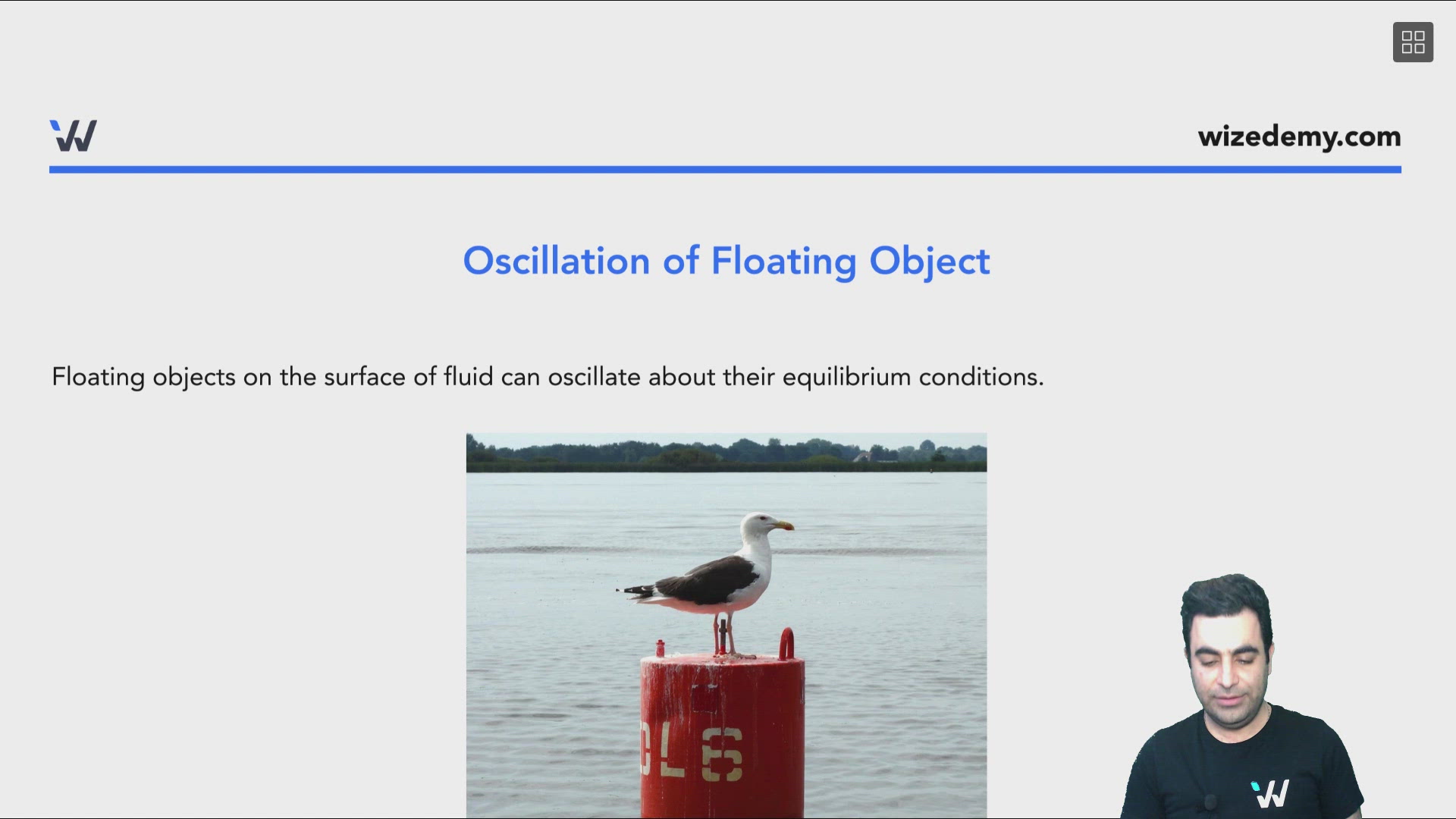 Floating Objects Oscillations - Wize University Physics Textbook ...