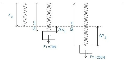 [Solution] Hooke's Law and Simple Harmonic Motion | Wizeprep