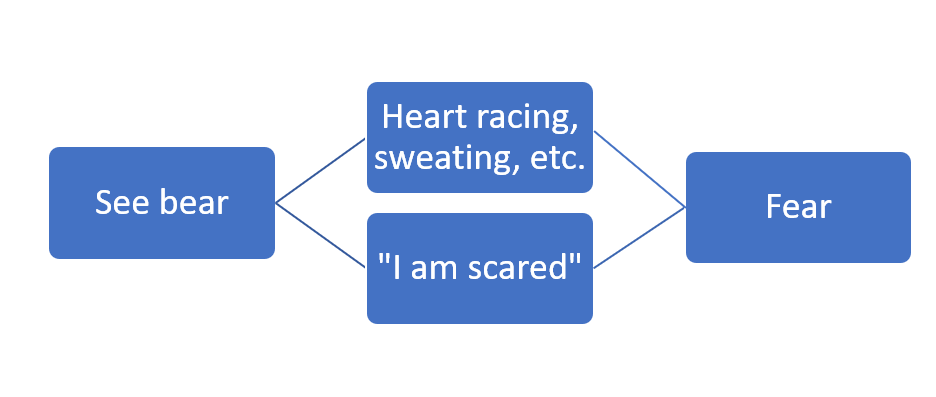 Theories of Emotion - Wize University Psychology Textbook | Wizeprep