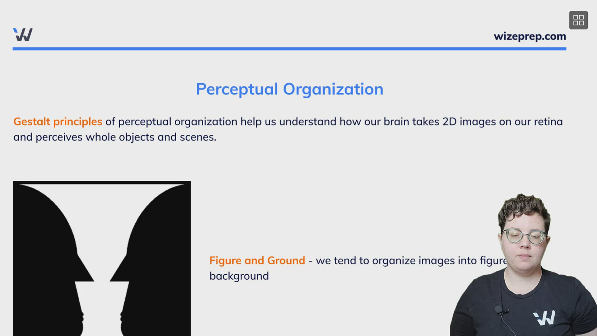 Gestalt Principles - Wize University Psychology Textbook | Wizeprep