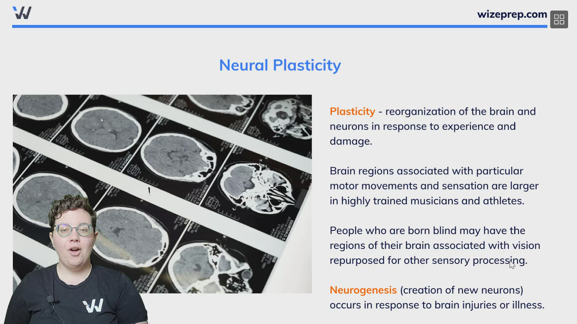 Plasticity - Wize University Psychology Textbook | Wizeprep