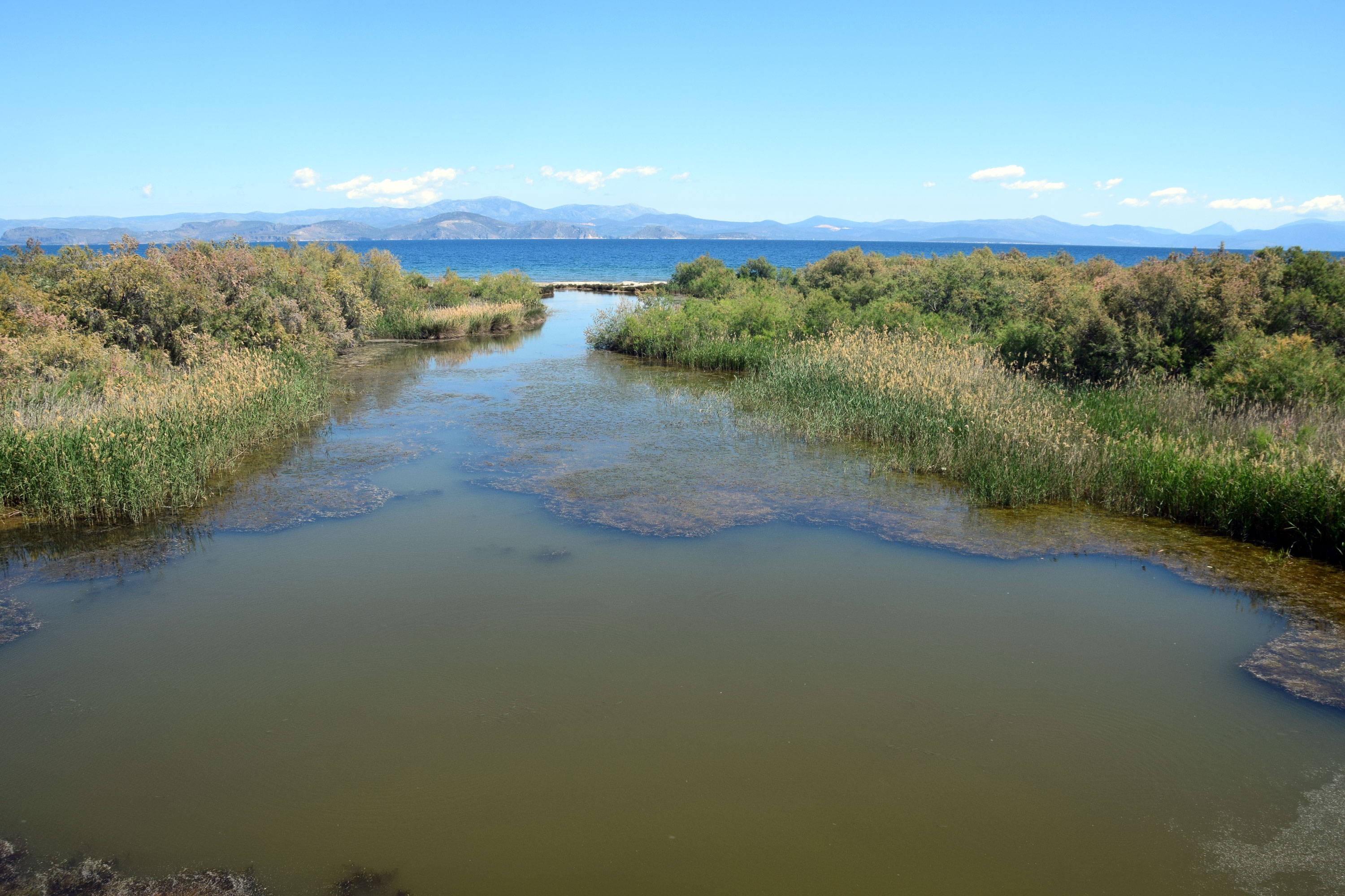 Ecosystems in the Biosphere - Wize High School Grade 11 Biology ...