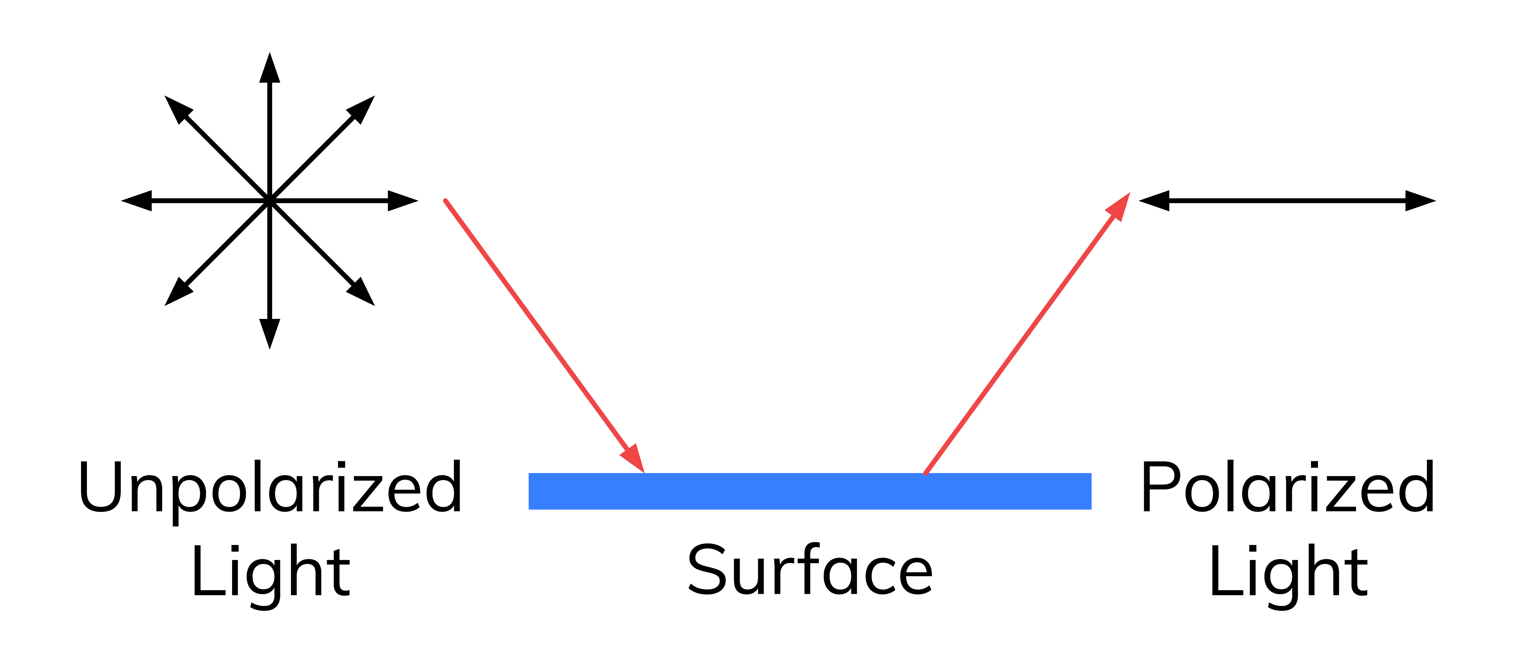 Polarization - Wize High School Grade 12 Physics Textbook | Wizeprep