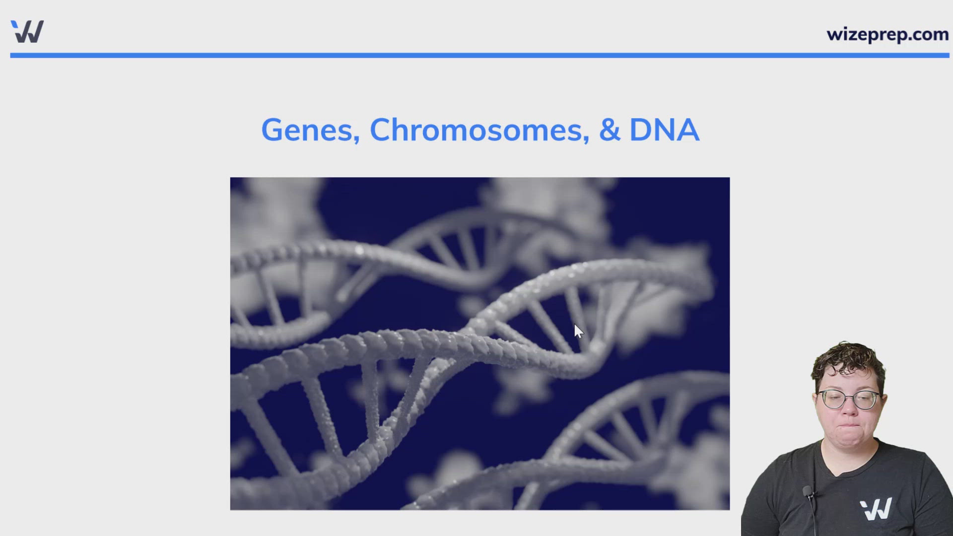 Genes, Chromosomes, & DNA - Wize University Psychology Textbook | Wizeprep