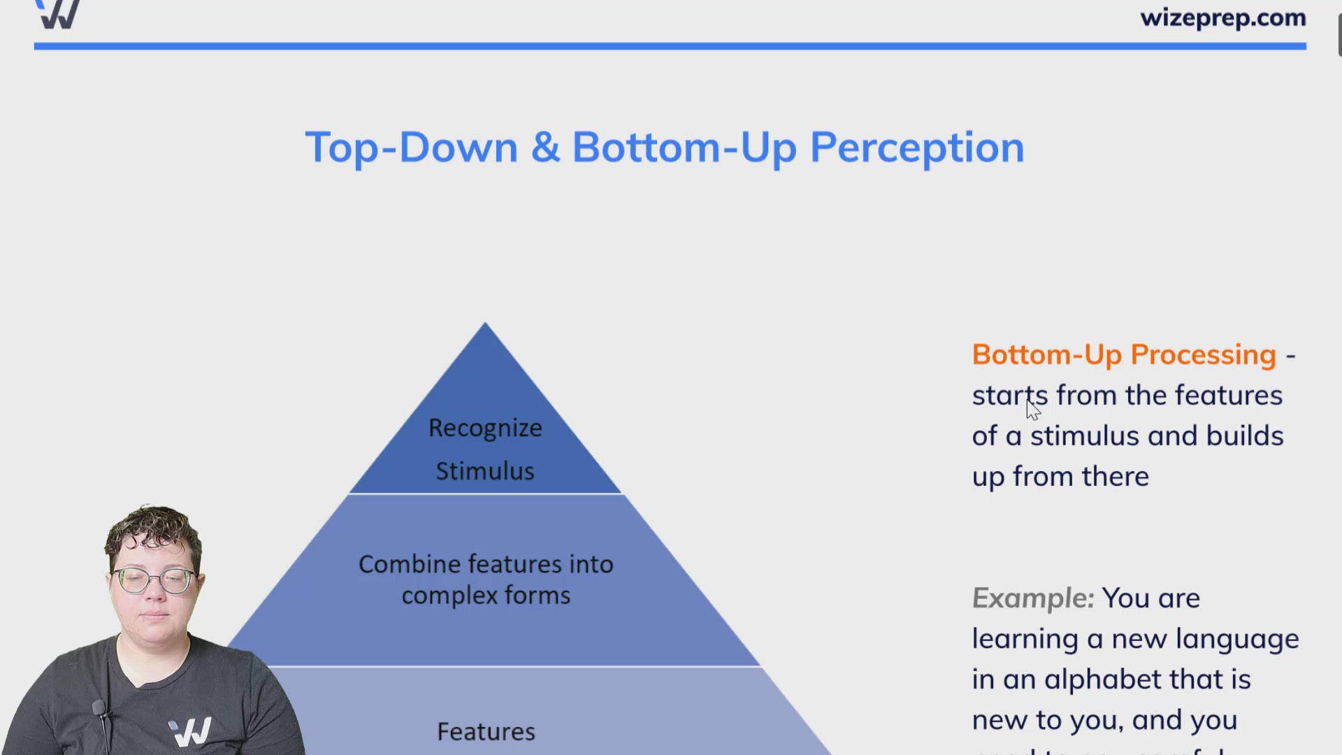 Top Down Bottom Up Perception Wize University Psychology Textbook Top Down Bottom Up Perception Wize University Psychology Textbook