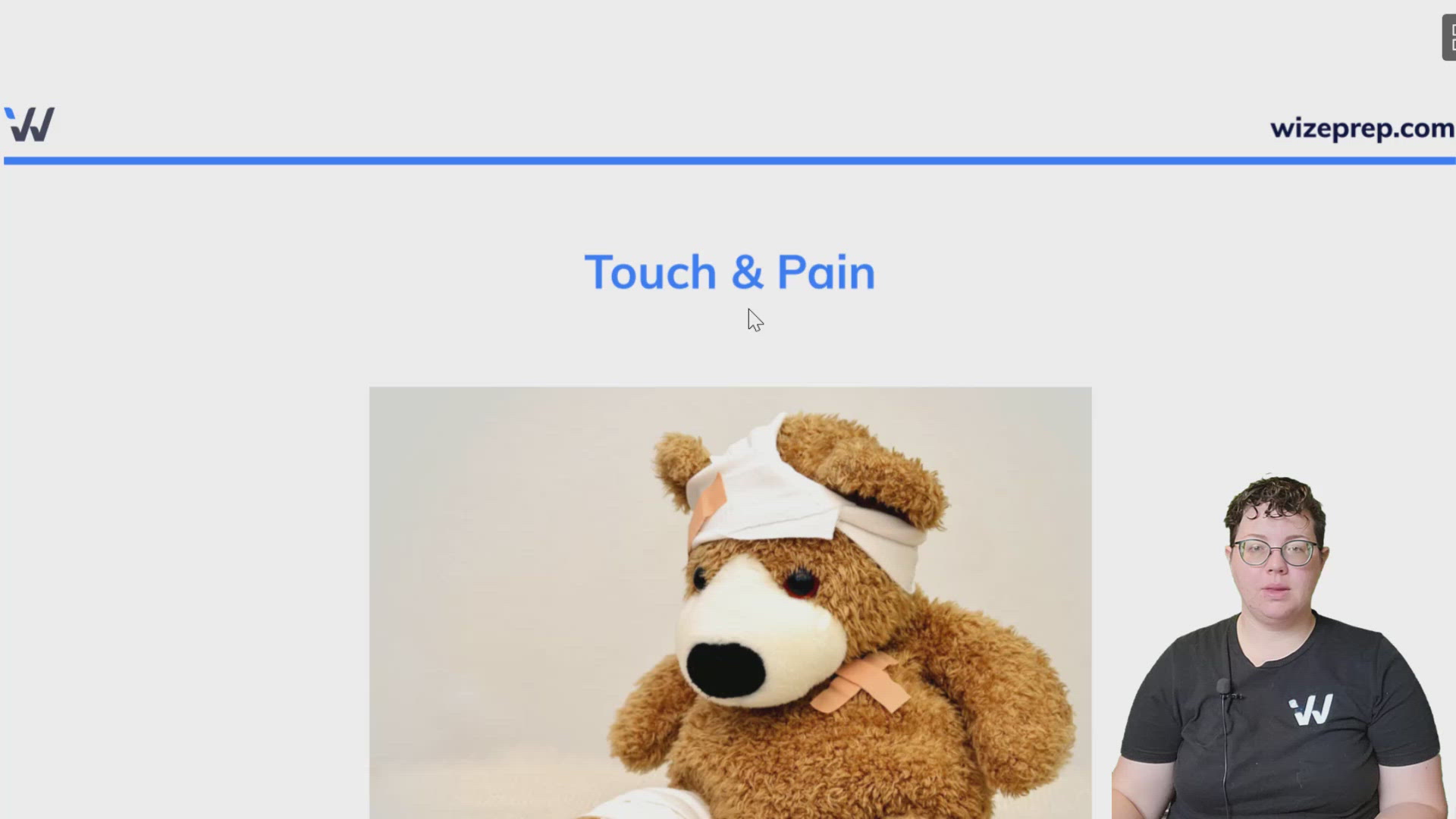 Touch & Pain - Wize University Psychology Textbook | Wizeprep