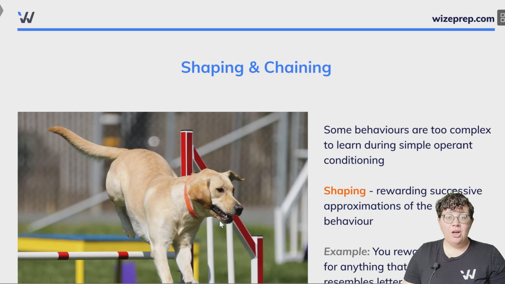 Operant Conditioning - Wize University Psychology Textbook | Wizeprep