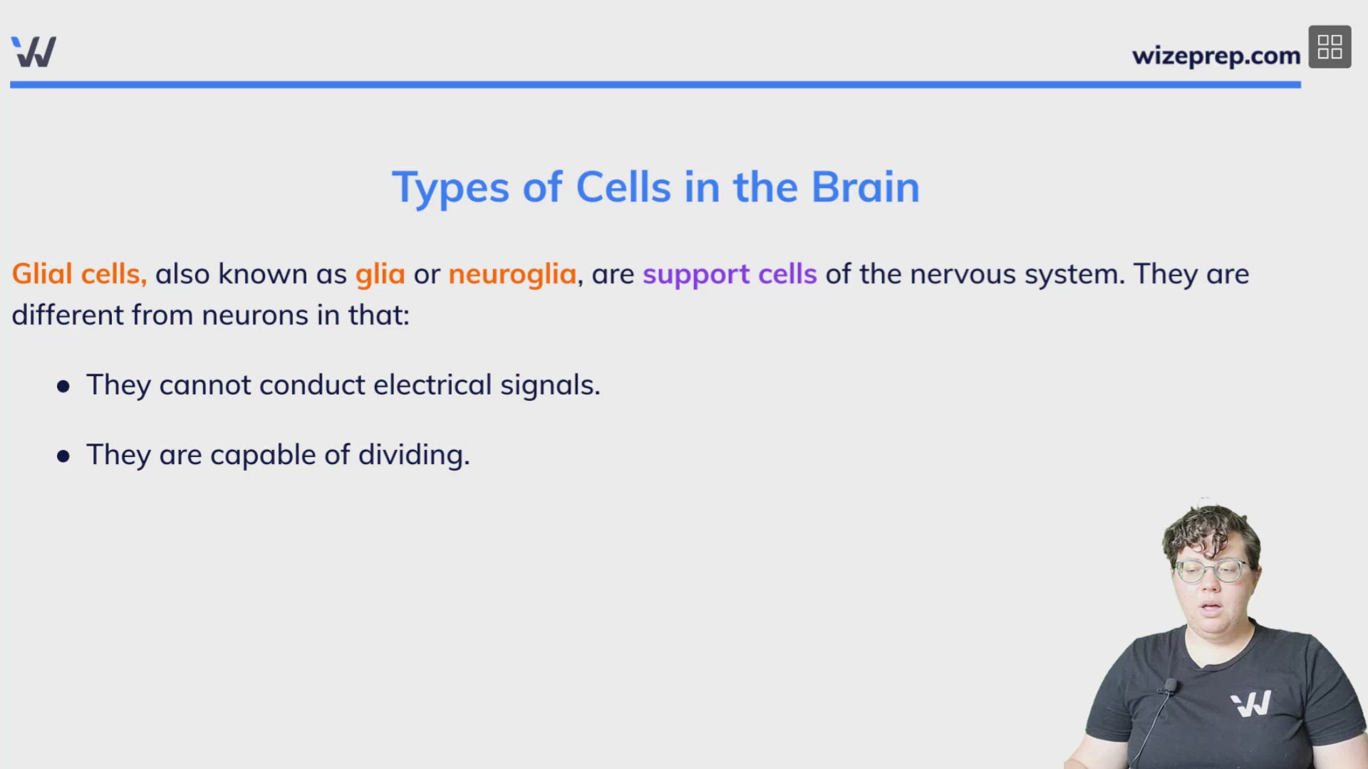 Types of Cells in the Brain - Wize University Psychology Textbook ...