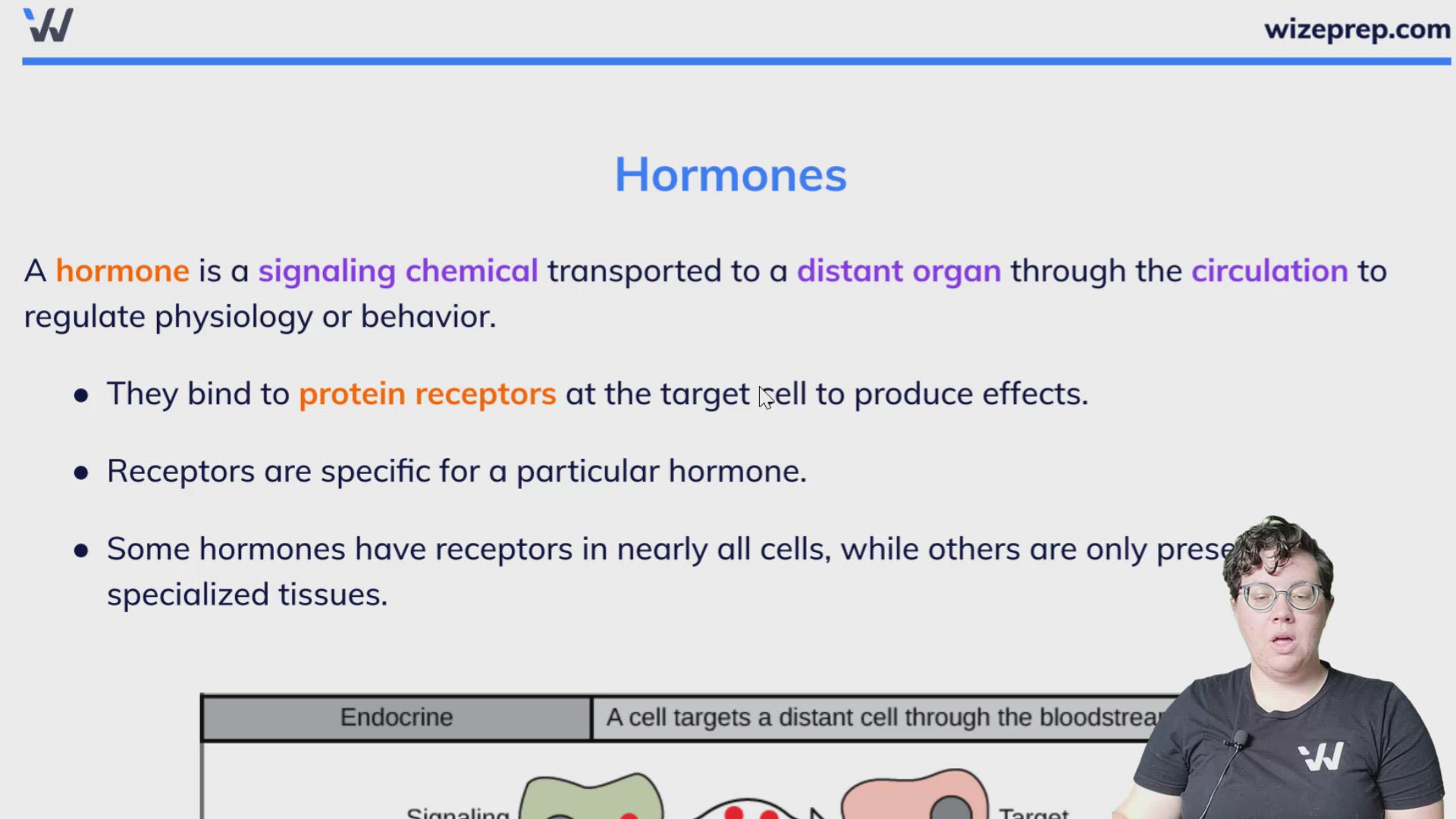 Hormones & The Endocrine System - Wize University Psychology Textbook ...
