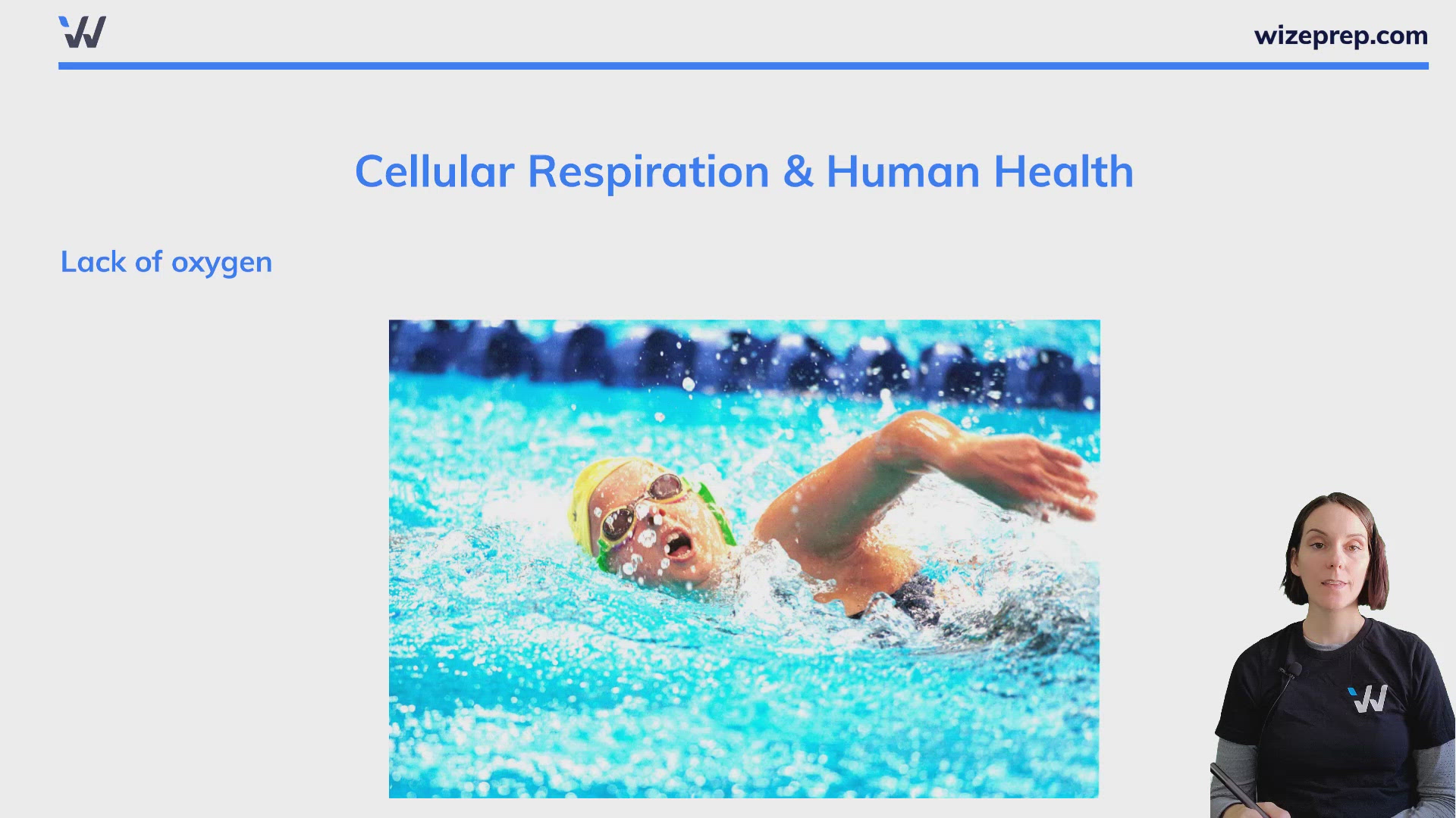 Cellular Respiration: Beyond Oxygen Consumption - Wize High School ...