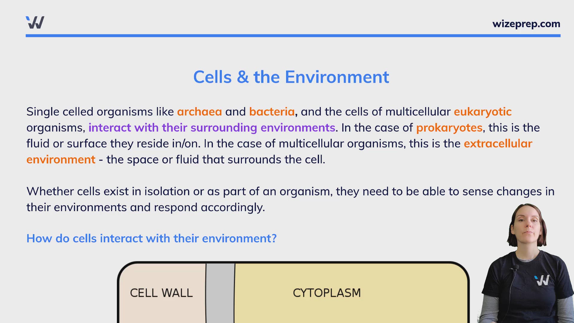Environmental Effects on Cells - Wize High School Grade 11 Biology ...
