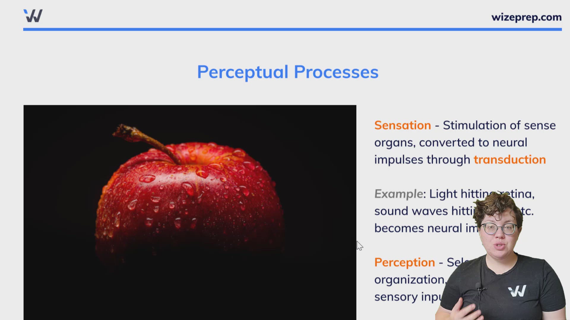 Perceptual Processes - Wize University Psychology Textbook | Wizeprep