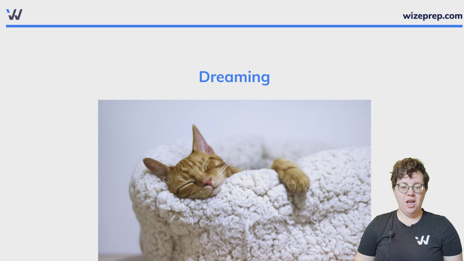 Dreaming - Wize University Psychology Textbook | Wizeprep