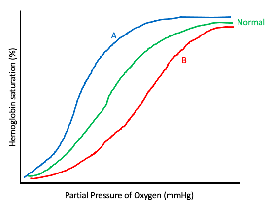 Gas Exchange and Control - Wize High School Grade 11 Biology Textbook ...