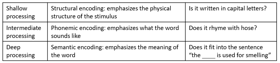 Levels of Processing - Wize University Psychology Textbook | Wizeprep