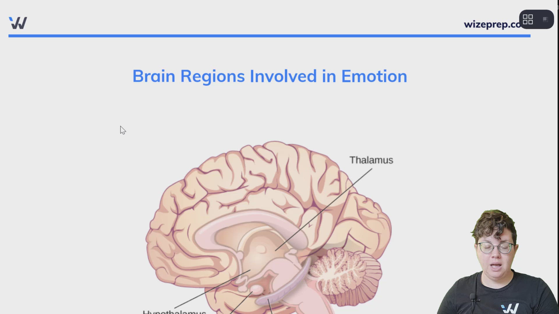 Brain Regions Involved in Emotion - Wize University Psychology Textbook ...