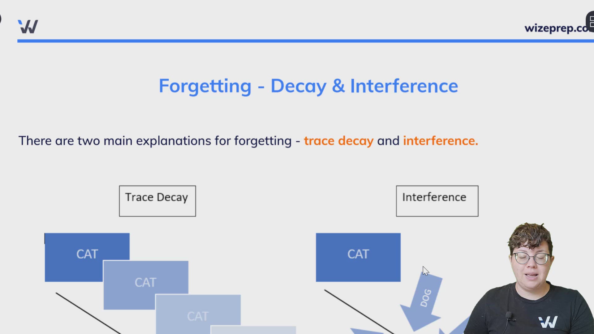 Forgetting - Decay & Interference - Wize University Psychology Textbook ...