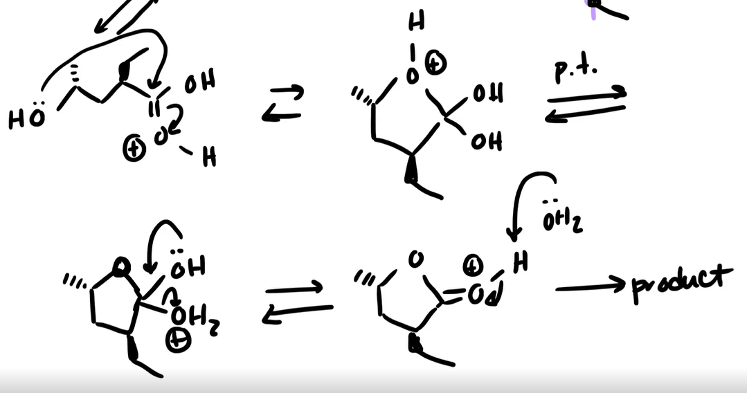 Esters and Anhydrides - Wize University Organic Chemistry Textbook ...