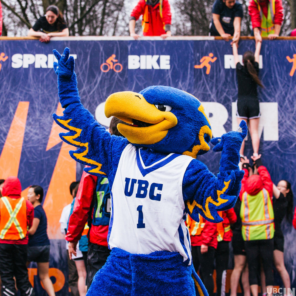 Want To Improve Your Grades At UBC Wizeprep Blog want-to-improve-your-grades-at-ubc-wizeprep-blog