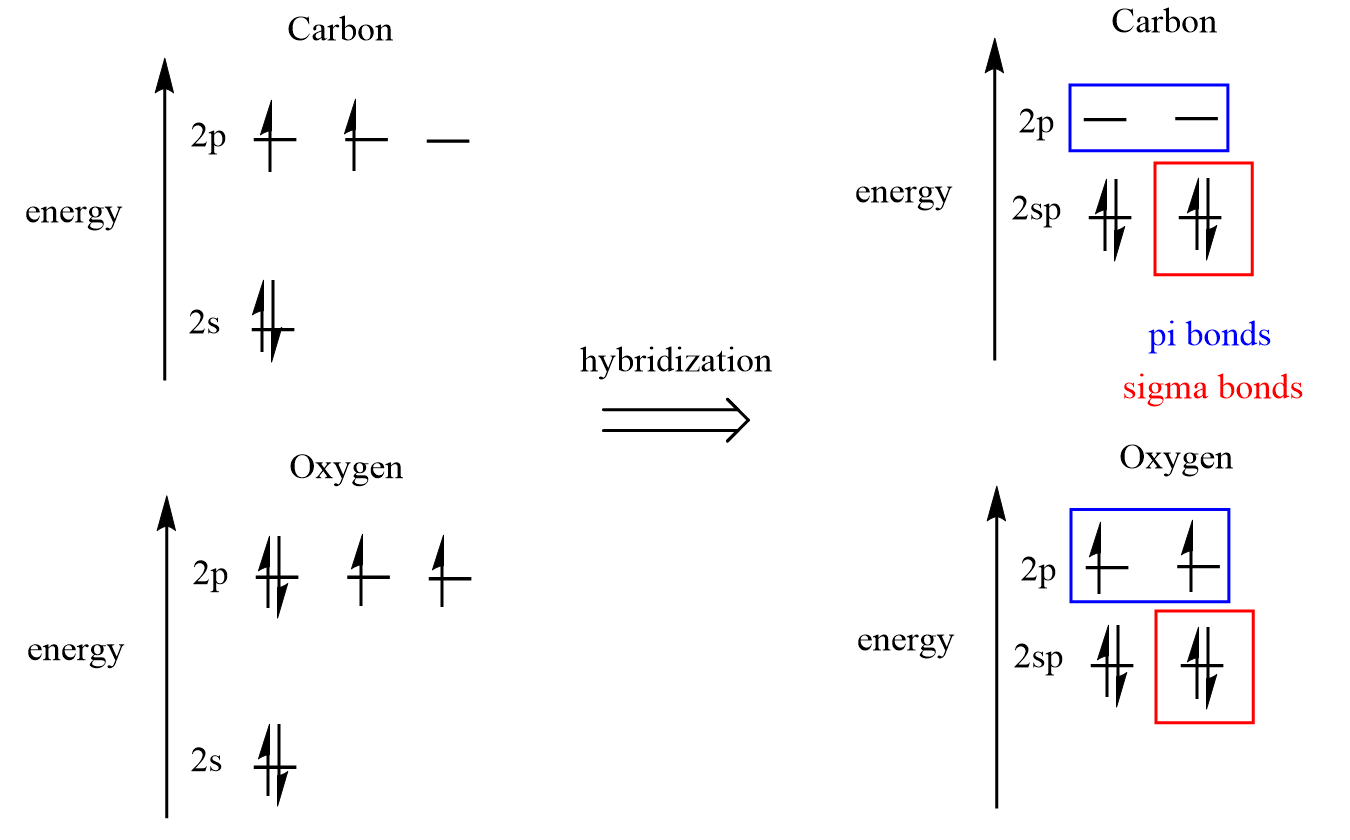 Sp2 Hybridization Sigma And Pi Bonds