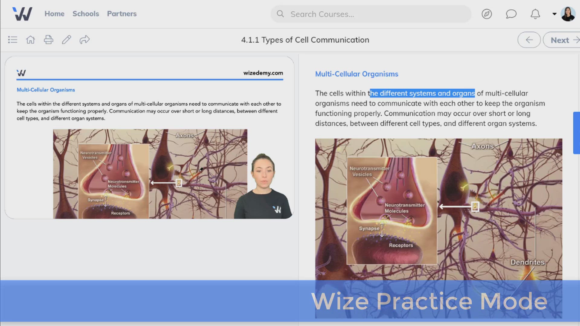 MATH 1004 at Carleton University